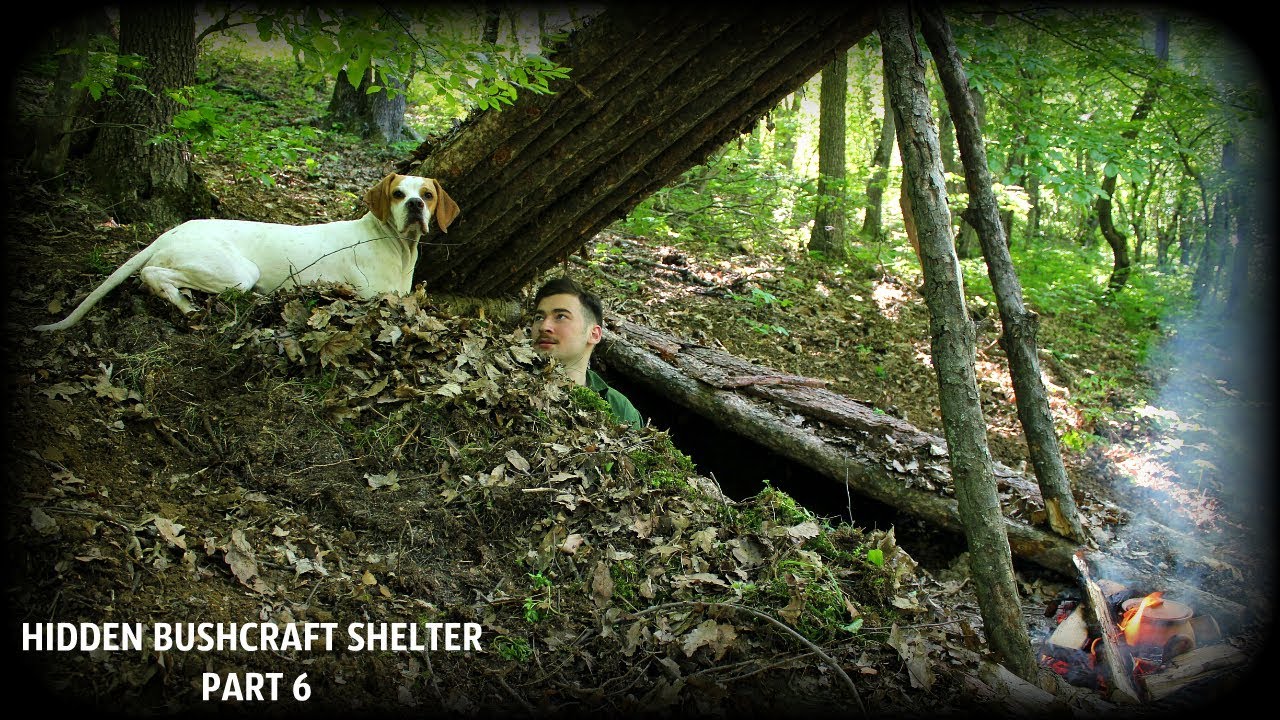 SECRET BUSHCRAFT SHELTER HIDDEN UNDERGROUND - Part 6 - Making A Moss ...