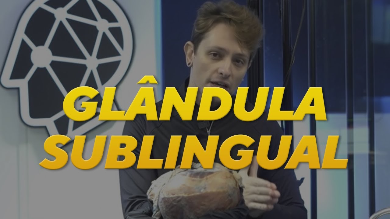 ANATOMIA DA GLÂNDULA SUBLINGUAL - YouTube
