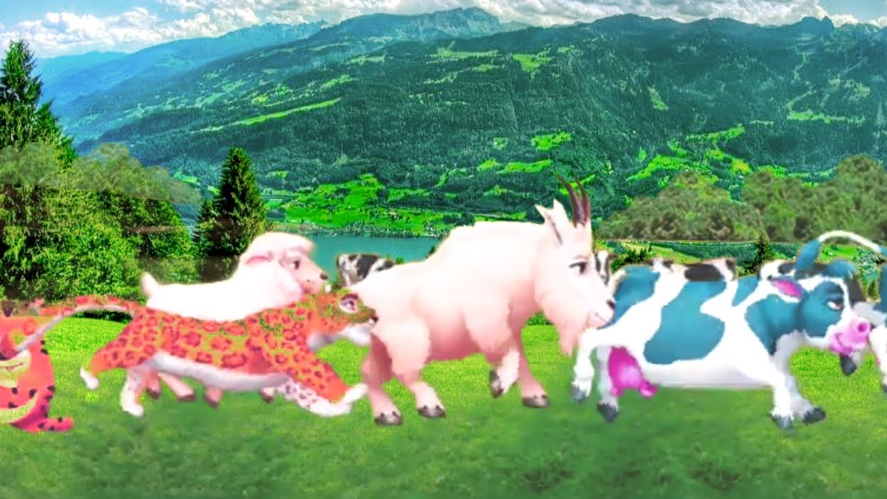 Animals CARTOON Animals Stampede|| Stampede Race Running # ...