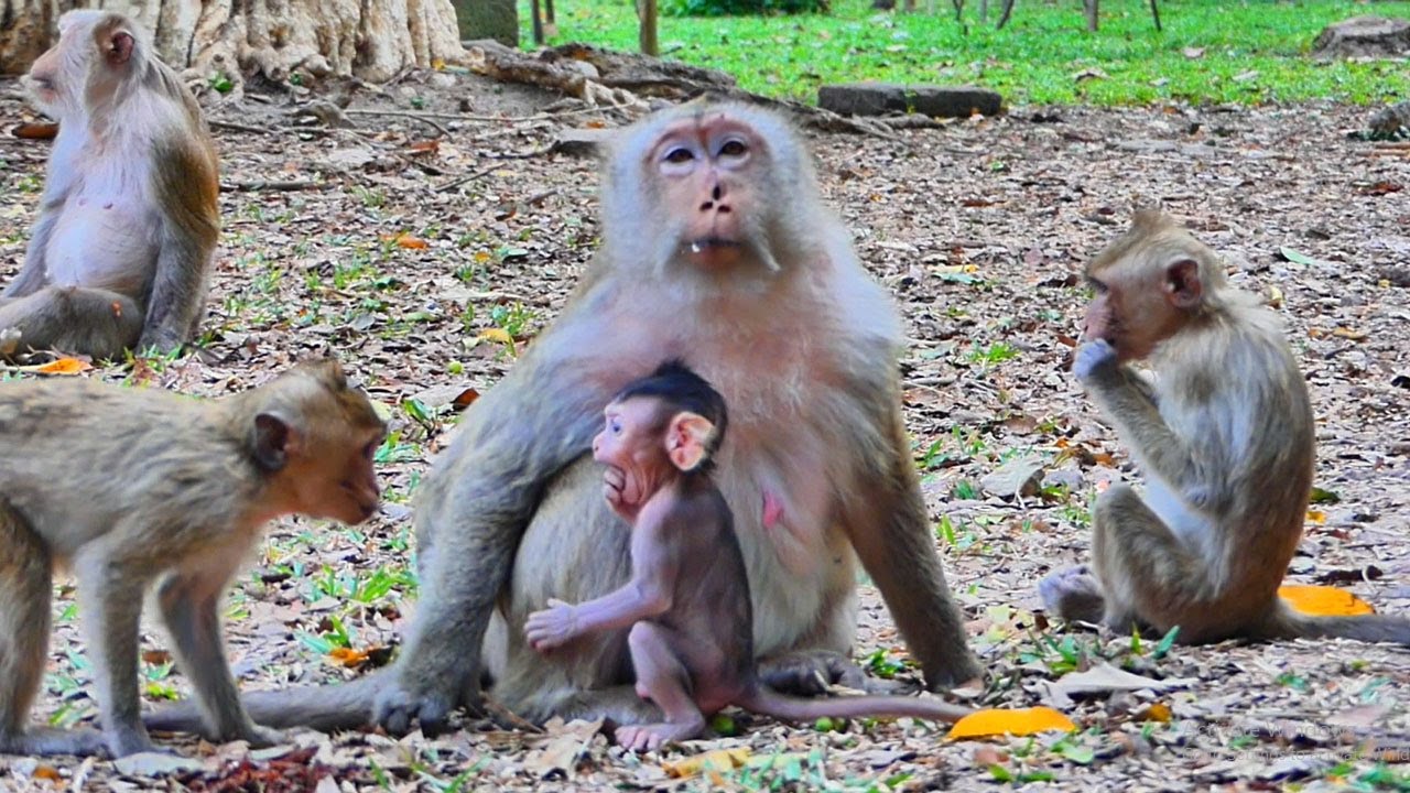 Very friendly newborn baby Bria playing so happy - YouTube