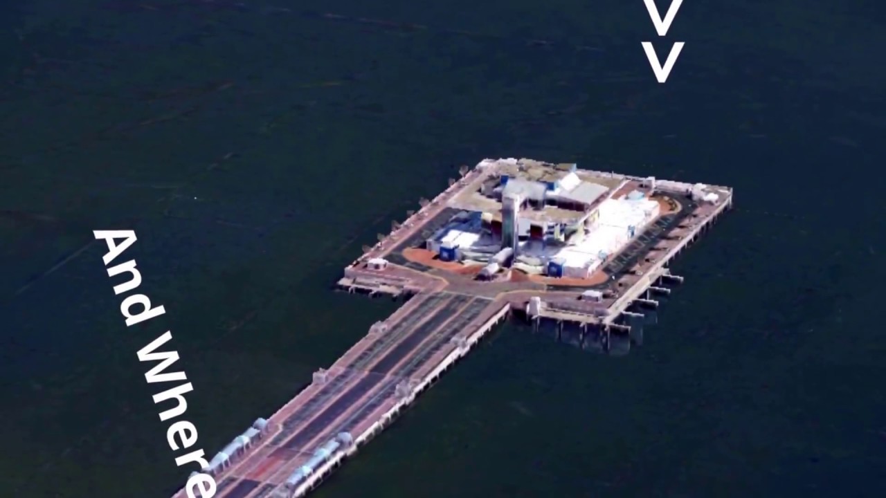 Developing Telepathy - Making Contact With Dolphins 2015. - YouTube