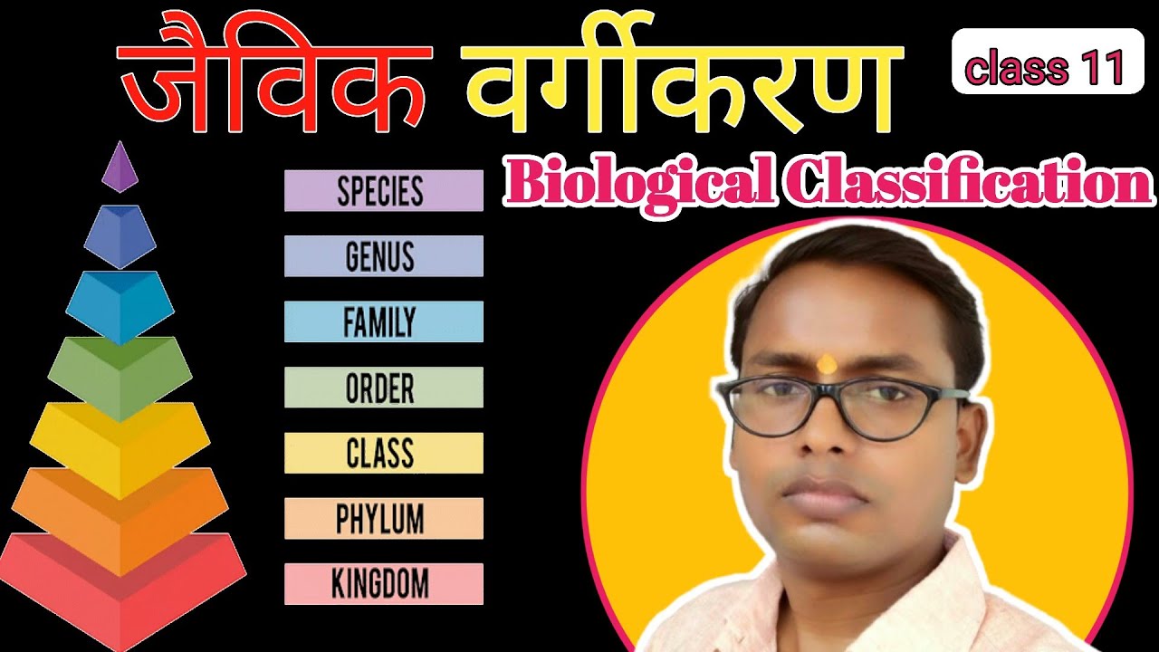 Biological Classification Class 11 ll Jaivik Vargikaran ll Biological ...