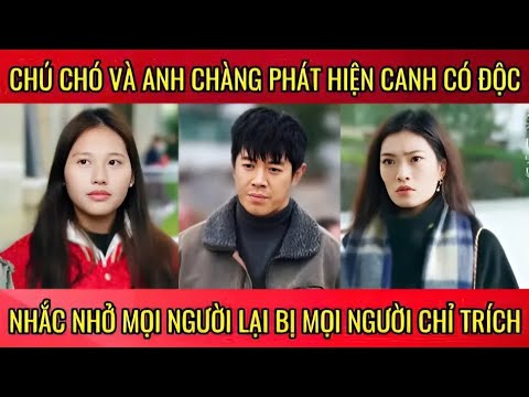 Chú chó và anh chàng phát hiện canh có độc nhắc nhở mọi người lại bị ...