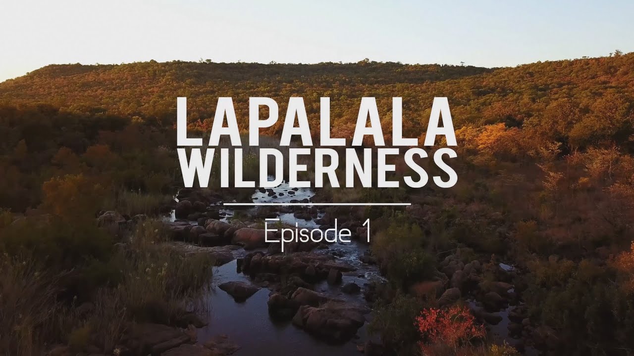 Lapalala Wilderness | Episode 1 - YouTube