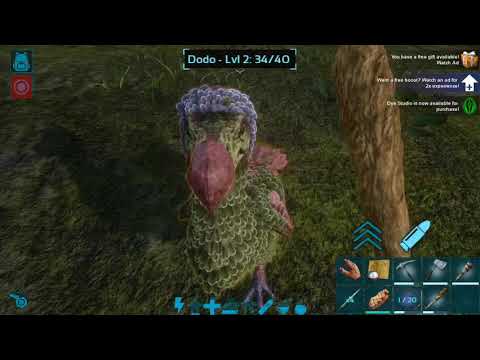 How to tame a dodo in ark Mobile - YouTube