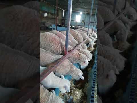 Izgara sistemi cok sükür bitti samet Kiriş e tesekkürler