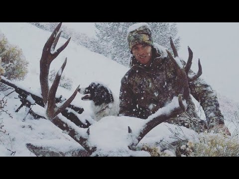 2017 Mule Deer Hunting Stories by Matt Tillotson @Matt_Tillotson ...