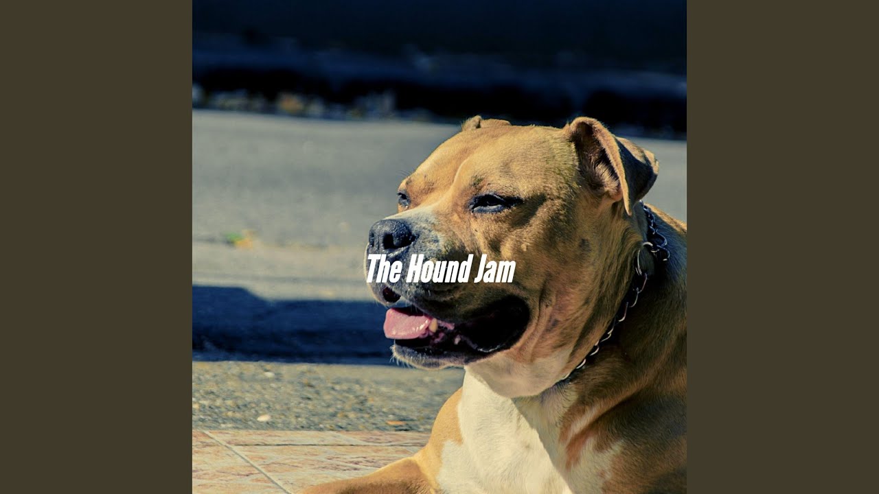 Background for Chill Dogs - YouTube