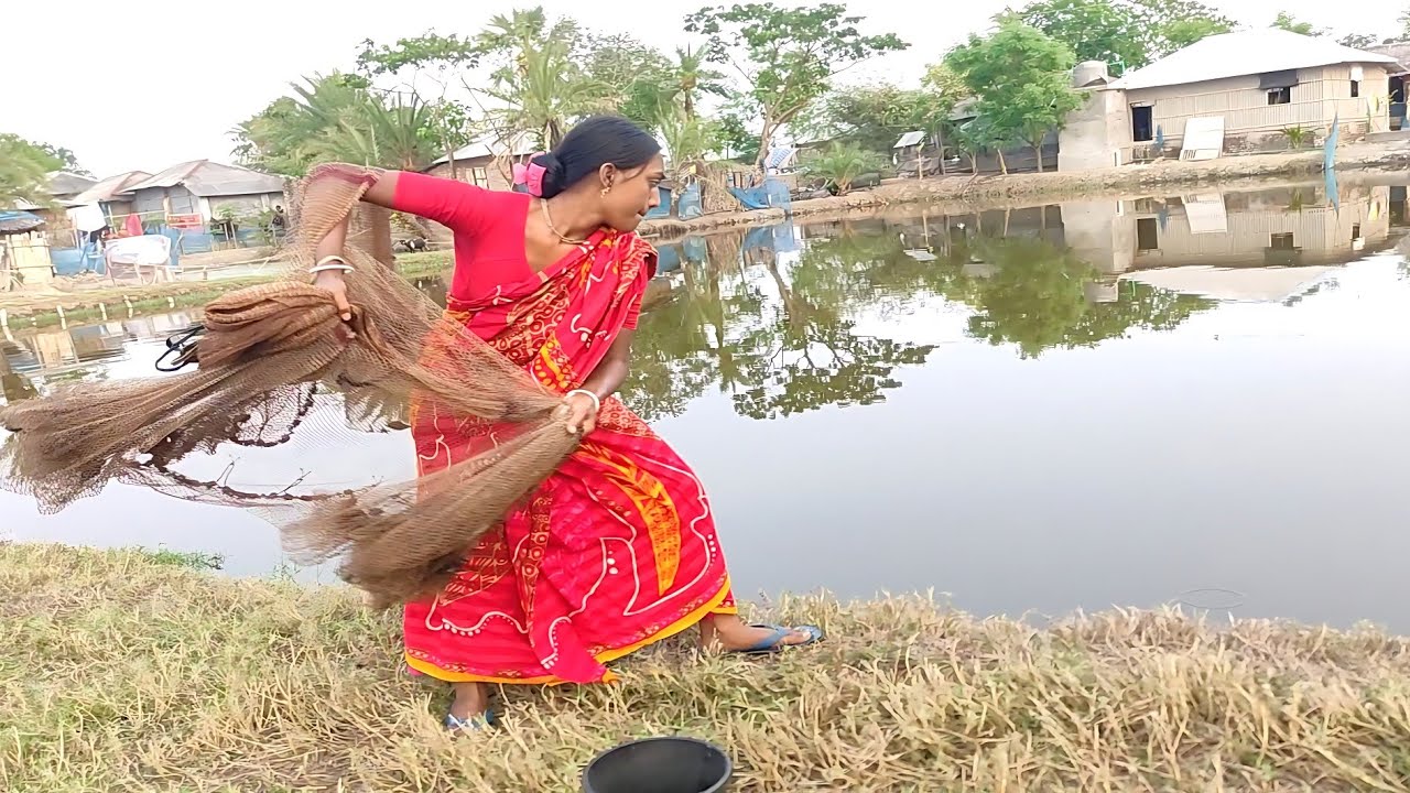 Net Fishing Video | Traditional Fish Catching in The Village Pond ...