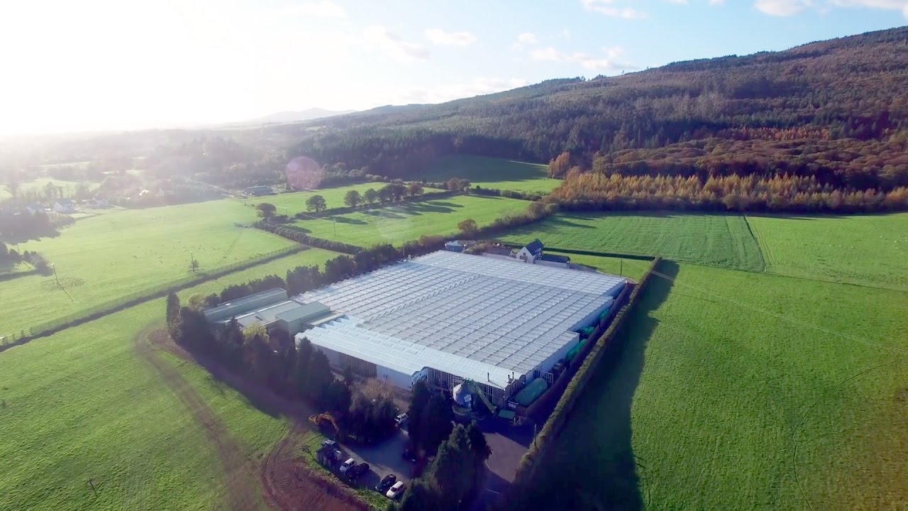 O'Hanlon Herbs Farm Tour Glenealy, Co. Wicklow, Ireland - YouTube