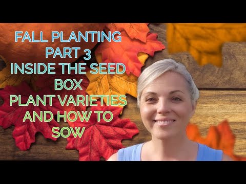 Fall Planting Part 3: Best Seeds to Plant Now & Where to Buy 🌱 - YouTube
