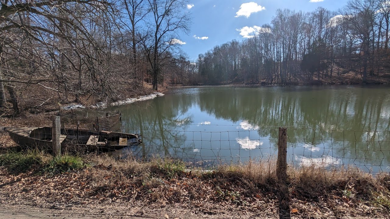 Amish Sawmill Tour - YouTube