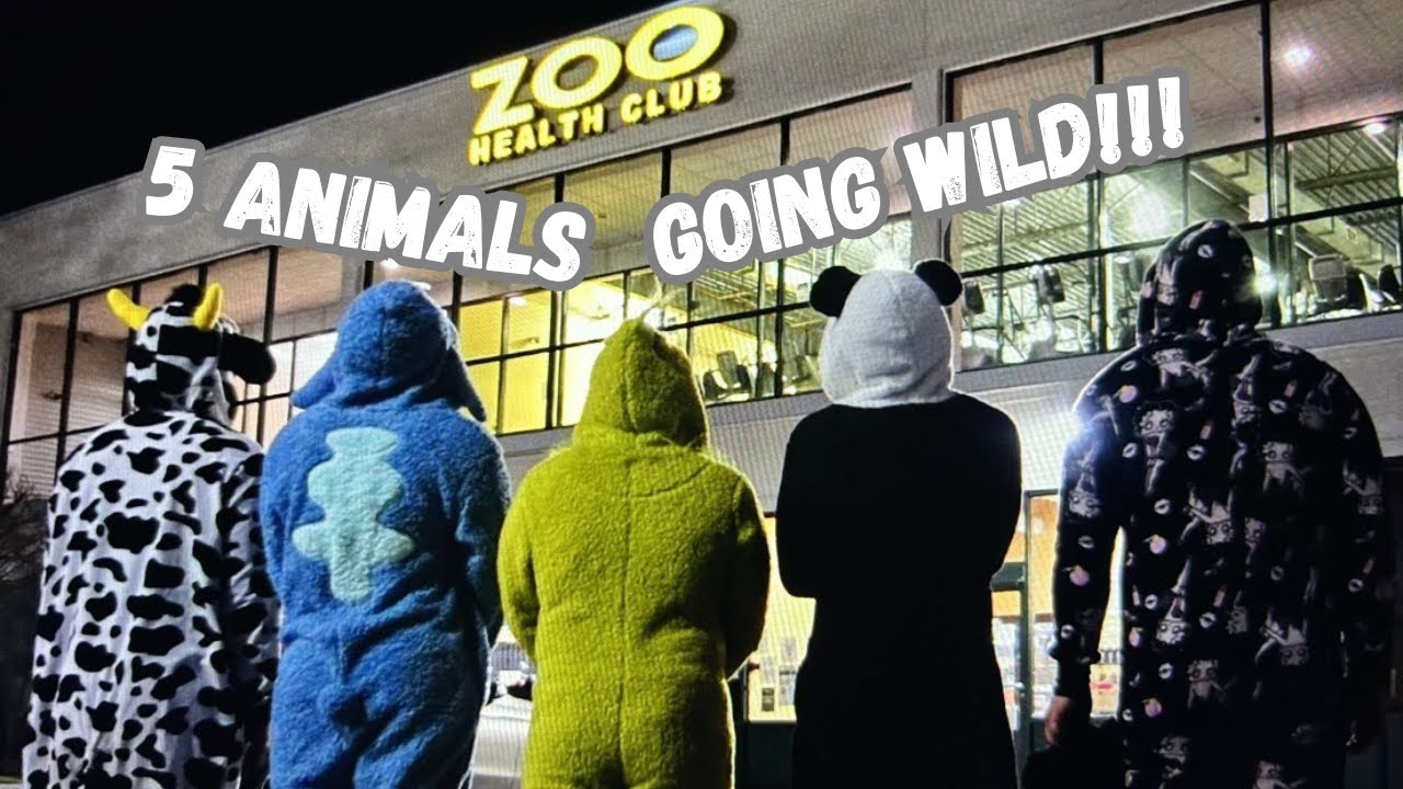 5 Animals Going Wild!!! - YouTube