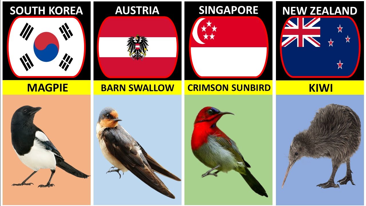 National Birds From Different Countries | List of National Birds of ...