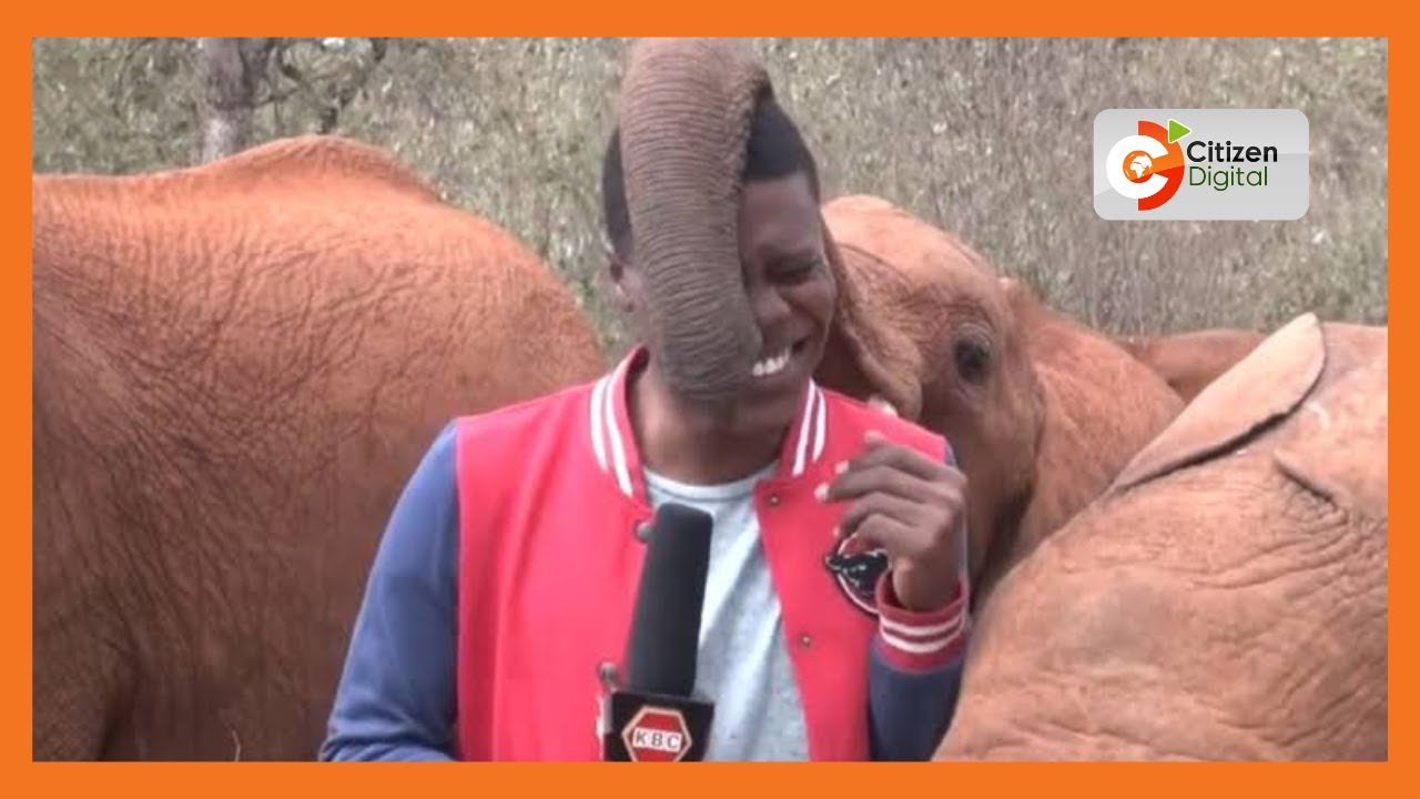 "I'm still shocked," Viral 'Elephant Man' describes his meteoric rise ...