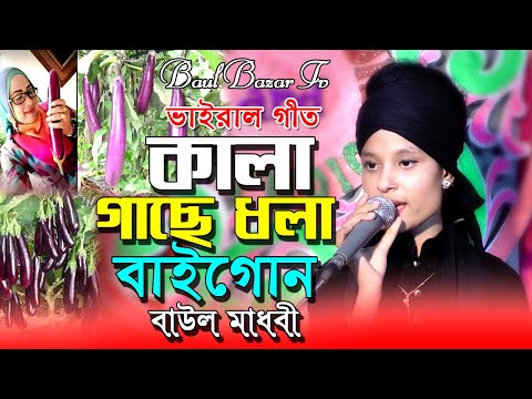 হায়রে কালা গাছে ধলা বাইগোন l বাউল মাধবী l  kala gache dhola baigon l Baul Madhobi l Baul Bazar Tv