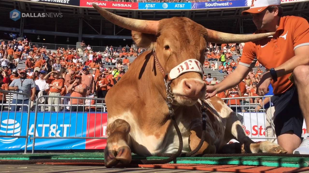 Texas' BEVO and Oklahoma's RUF/NEKS at Red River Showdown - YouTube