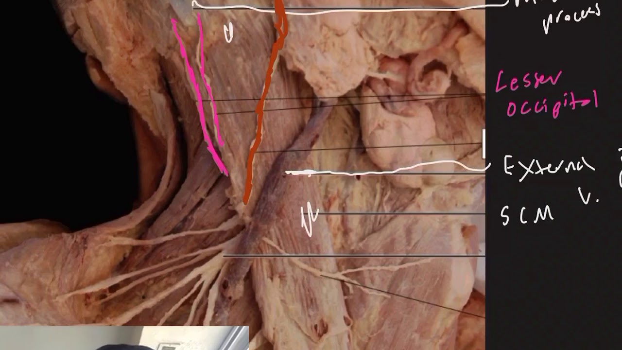 Erb’s Point (Lets Get Together Soon) - YouTube