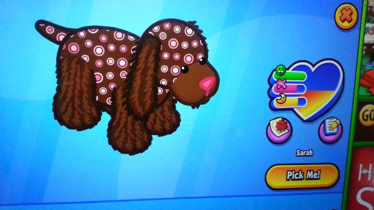 Webkinz Spotted Spaniel Adoption - YouTube