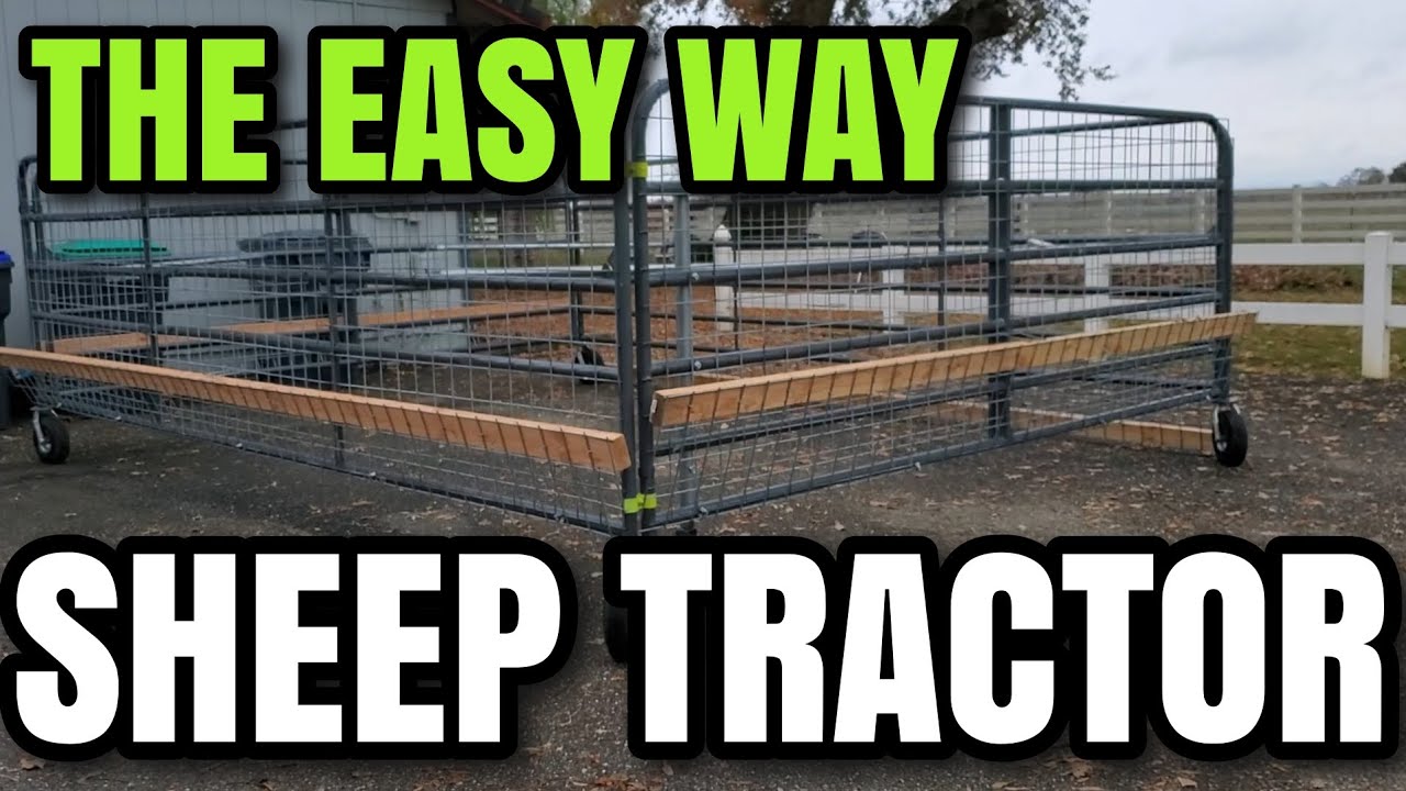 HOW I BUILT THIS SHEEP TRACTOR in 4 DAYS for under $1200? #homesteading ...