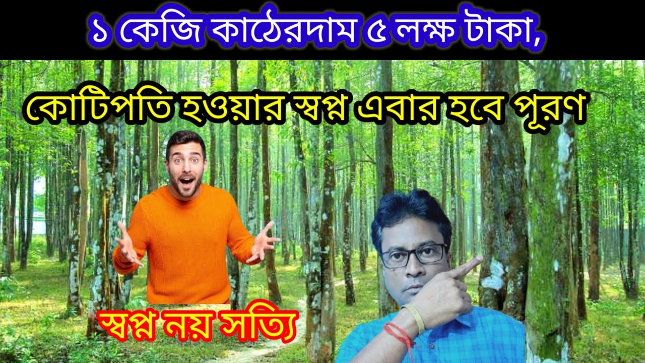 এই গাছ কোটিটাকার লটারি 🤔 Most Expensive Wood Tree Plantation # ...