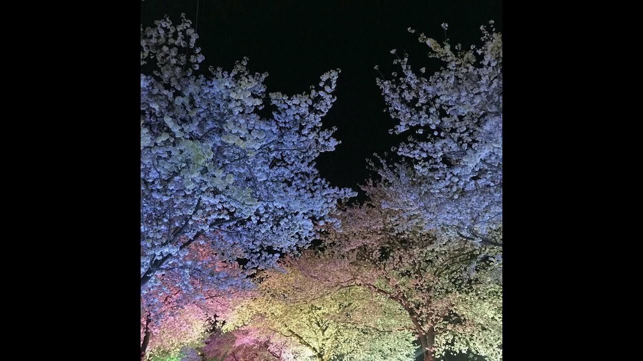 [FREE DOWNLOAD] Playboi Carti x Pierre Bourne Sample Pack/ Loop kit "Energy" - YouTube