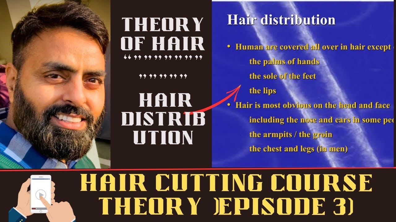 Hair distribution full knowledge .(Episode 3) - YouTube