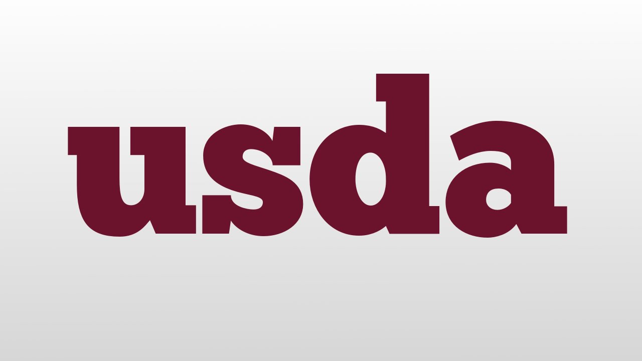 usda meaning and pronunciation - YouTube