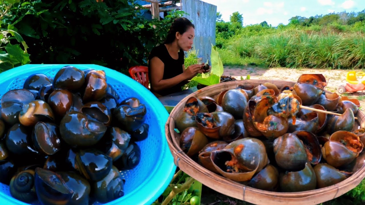 Forest Tour: Cook Snails with Curry Recipe/ Eating Delicious - YouTube