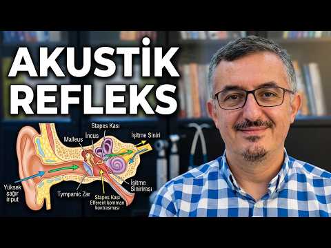 AKUSTİK REFLEKS - ODYOMETRİNİN TEMELLERİ 20