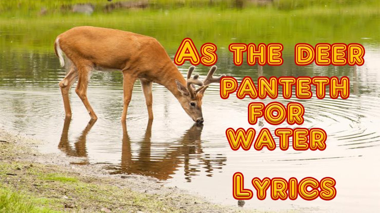 As The Deer Panteth For Water | Hymn Lyrics Video - YouTube