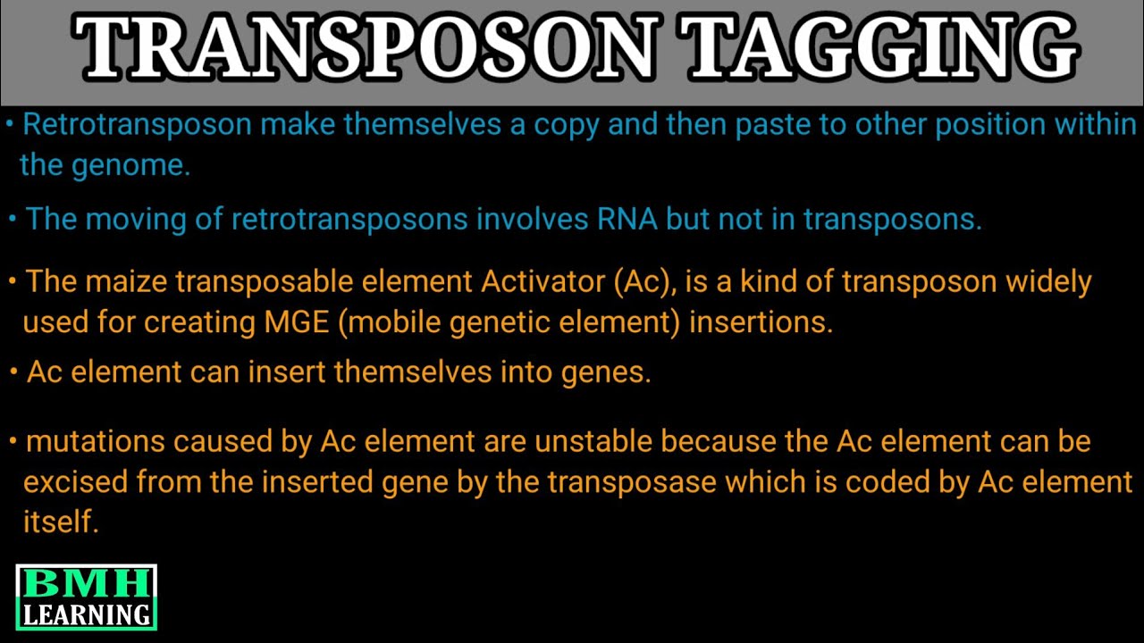 Transposon Tagging YouTube transposon-tagging-youtube