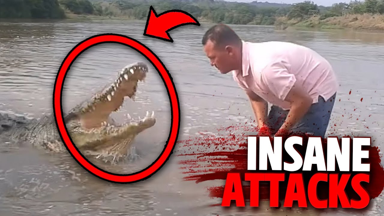The Most SAVAGE Crocodile Attacks MARATHON! - YouTube