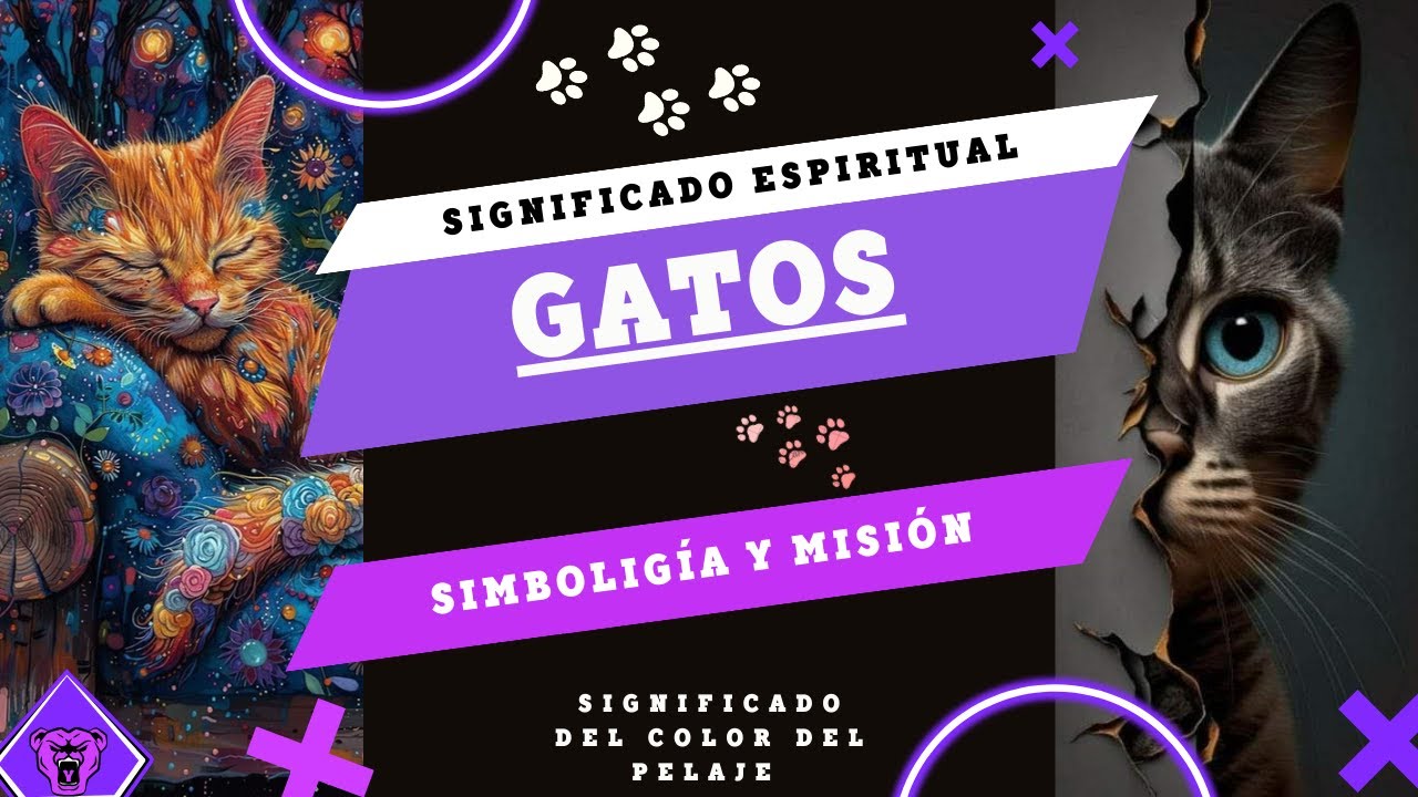 GATOS 😻Significado Espiritual y de su COLOR🐈‍⬛Misión 🐈Simbología🙀# ...