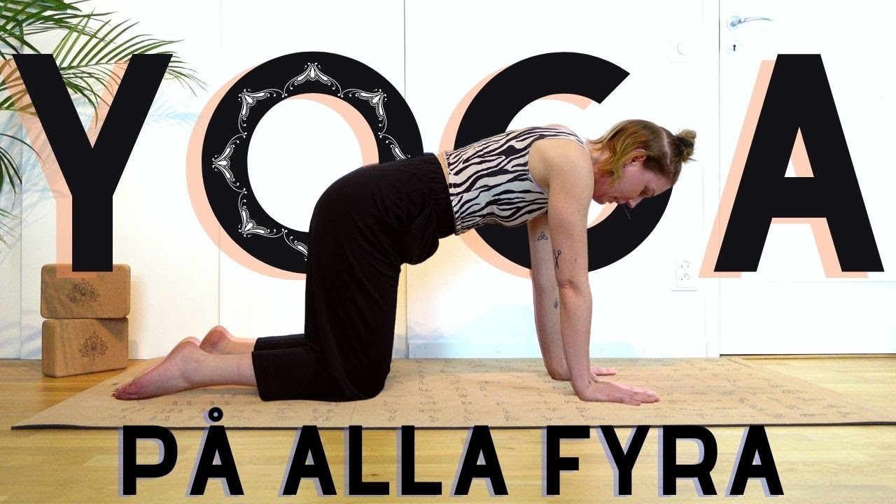 Yoga på alla fyra - 15 minuter Yoga på svenska - YouTube