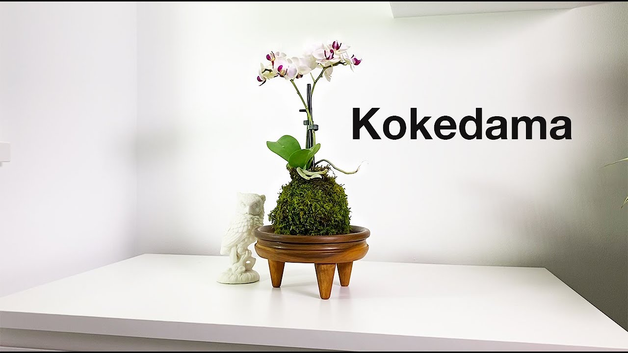 How to Make Kokedama | Step by Step | Plus Beautiful Wooden Bowl - How ...