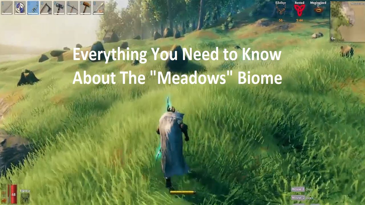 Biome Breakdown: The Meadows - Things You Need to Know About The ...