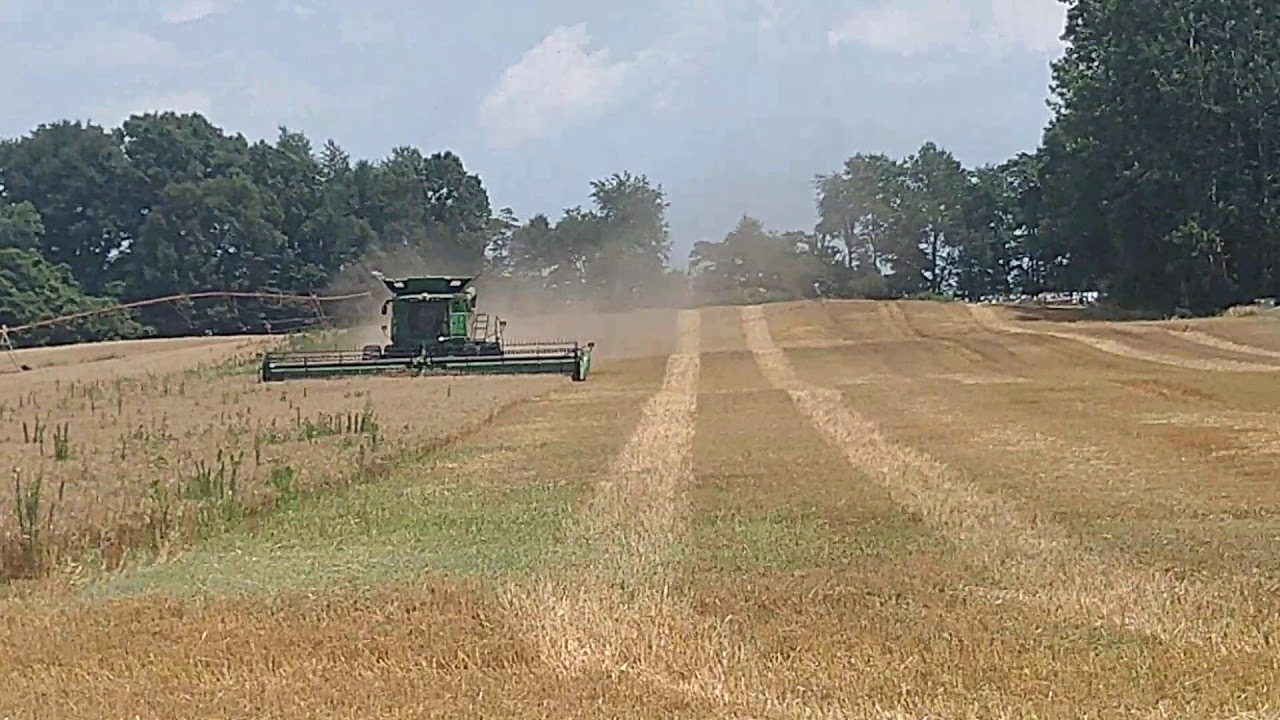 2020 Indiana hill wheat - YouTube