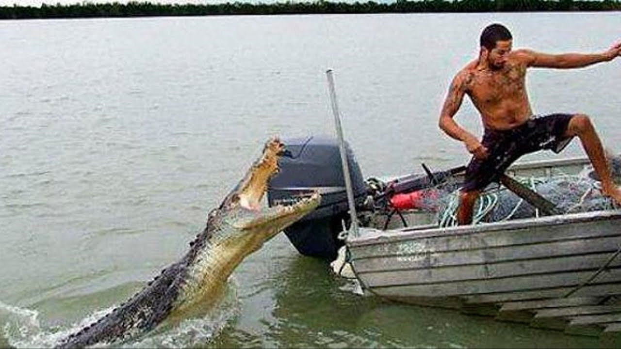 Угарные приколы на рыбалке! Ржака до слез 2022. Funny fishing. Fishing ...