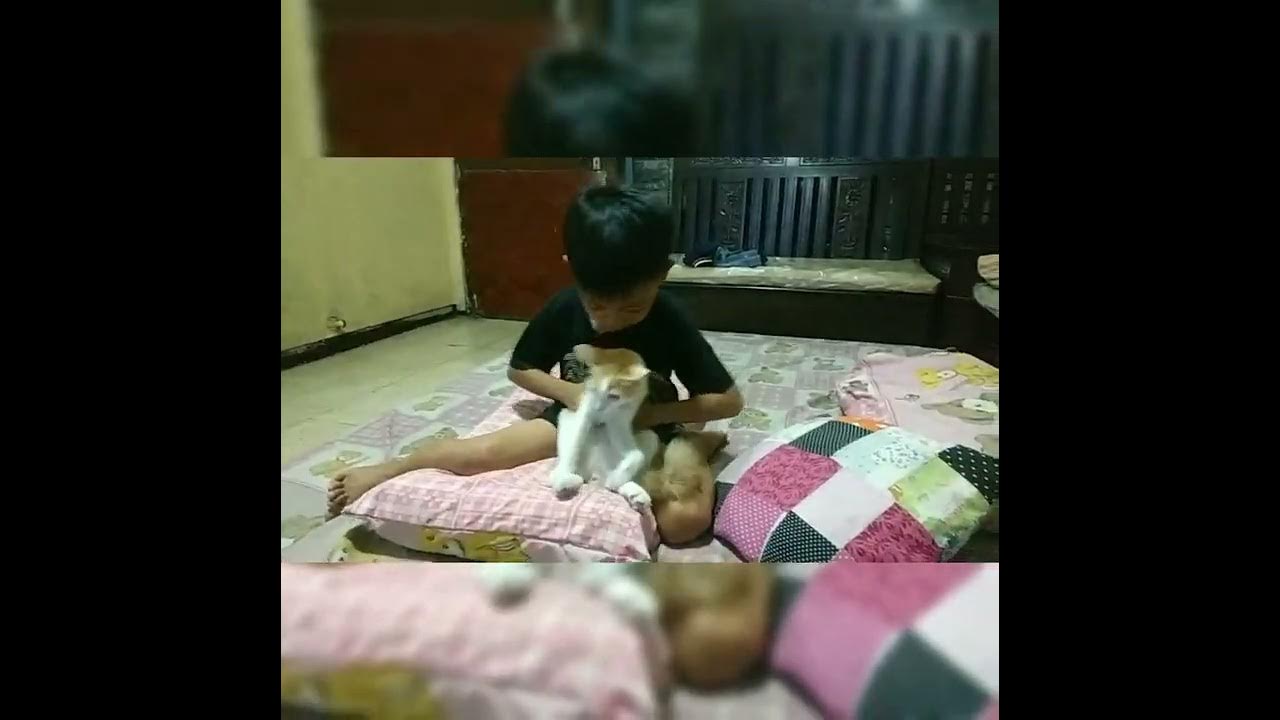 kucing mochu saur ramadhan 2023 - YouTube