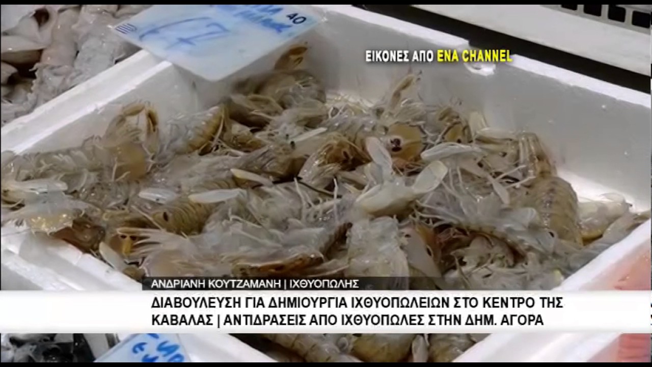 Διαβουλεύσεις για ιχθυοπωλεία στο κέντρο της Καβάλας - YouTube