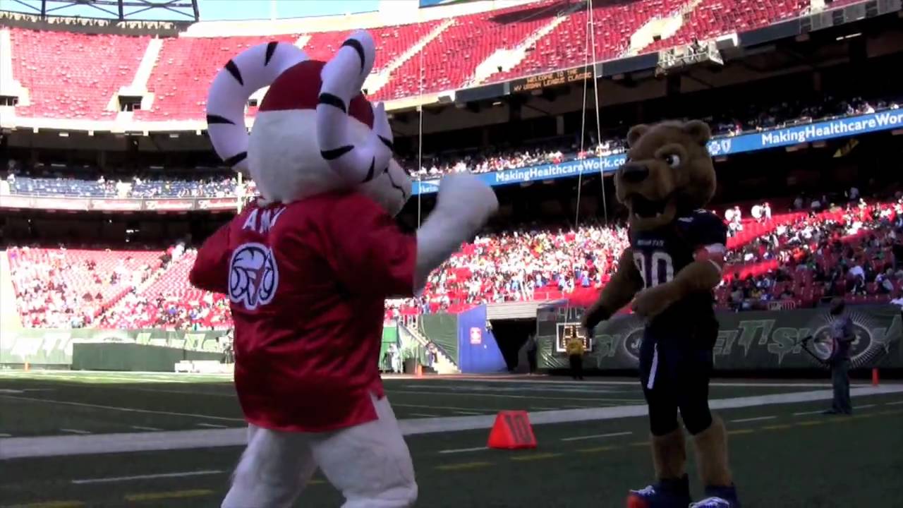 College Mascot Dance off - YouTube