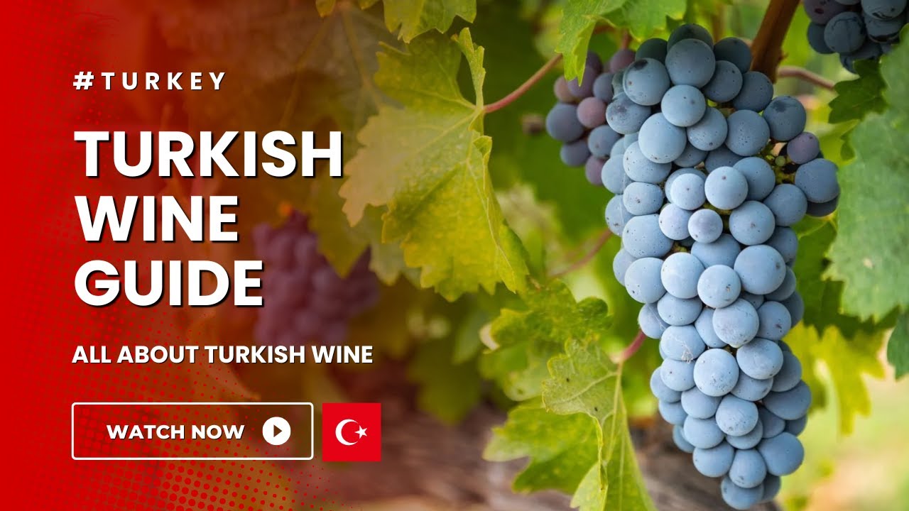 Turkish Wine: History, Regions & Indigenous Grapes Explained - YouTube
