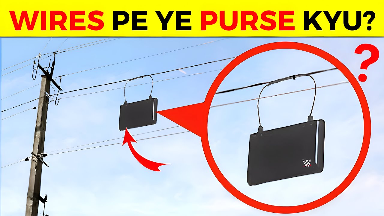 Why There is a Purse on Wires? - YouTube