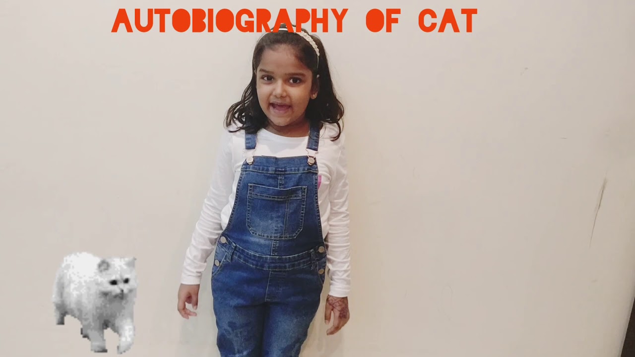Autobiography of CAT | speech | Essay for kids - YouTube