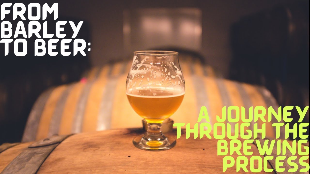 From Barley to Beer: A Journey Through the Brewing Process - YouTube
