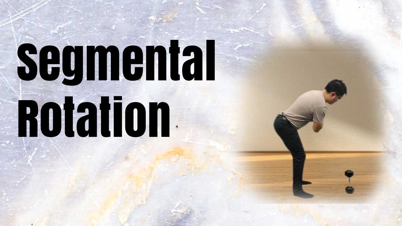 Segmental Rotation | Sharing the load of rotation through the spine ...