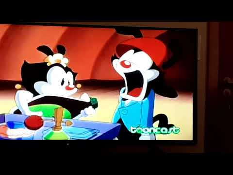 O Grande Wakkorotti | Animaniacs - YouTube