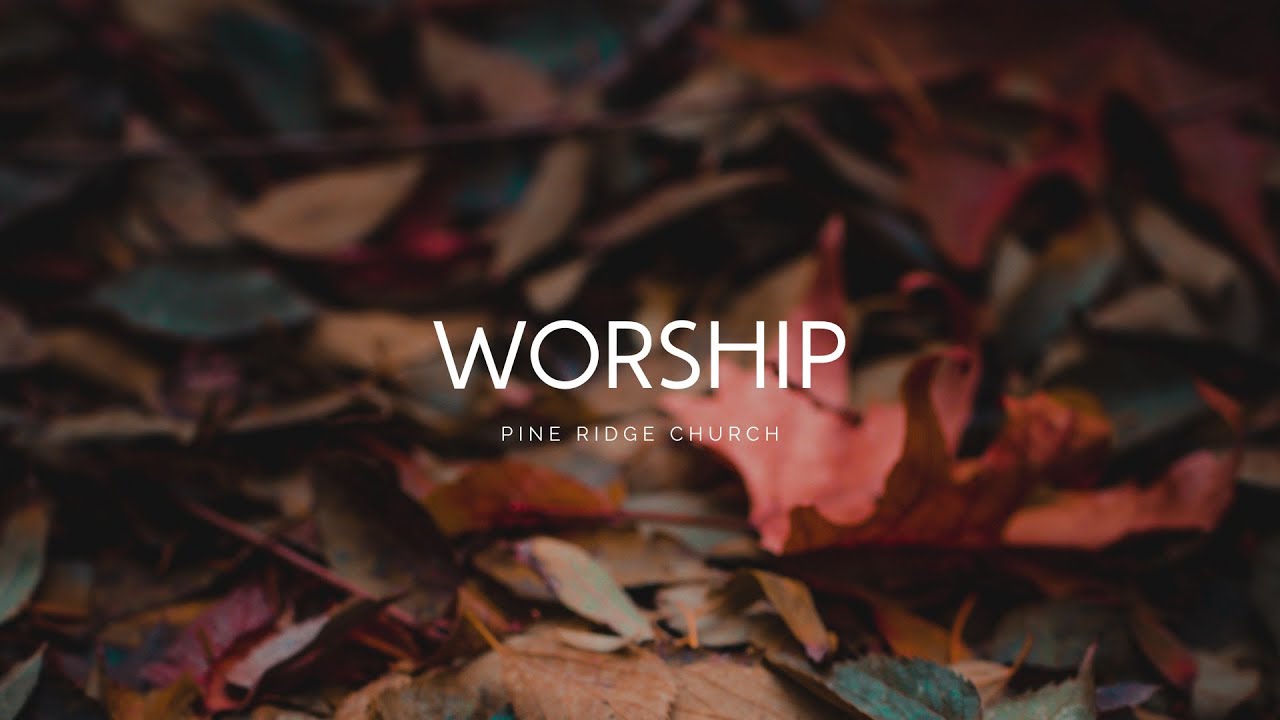 11-26 Worship - True Shepherds of God’s Sheep and the Wonderful Chief ...