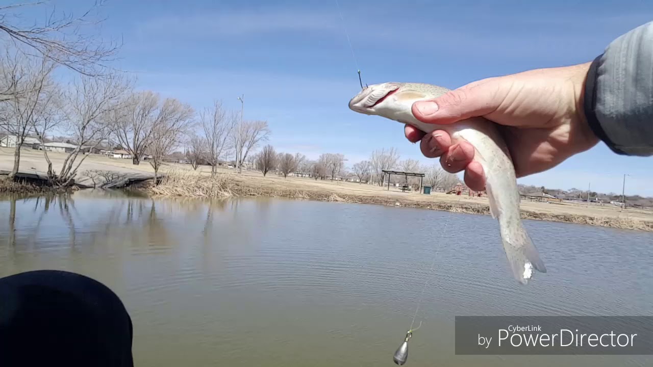 Love Trout Fishing? Watch this... - YouTube